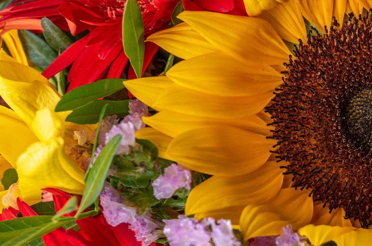 Visualizing Success - Floriology Digital Magazine