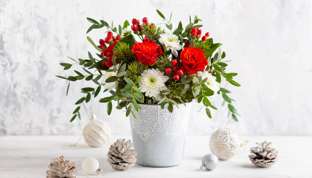 Winter Wonderland - Floriology Digital Magazine