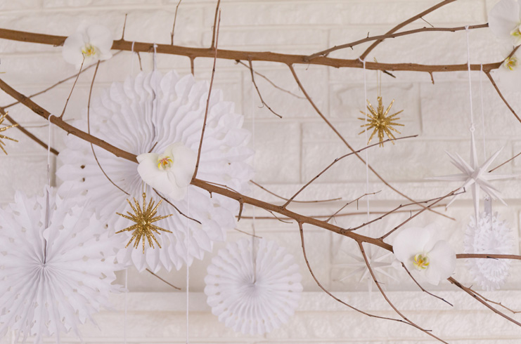 Modernized Traditions - Floriology Digital Magazine