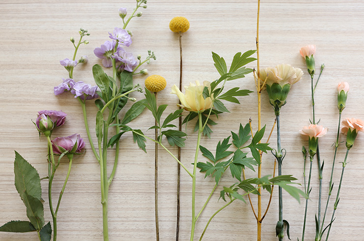 Show and Tell - Floriology Digital Magazine
