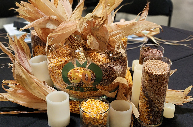 Underrated Materials - Floriology Digital Magazine