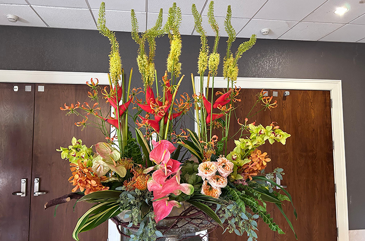 Growth, Creativity, and Sustainability - Floriology Digital Magazine